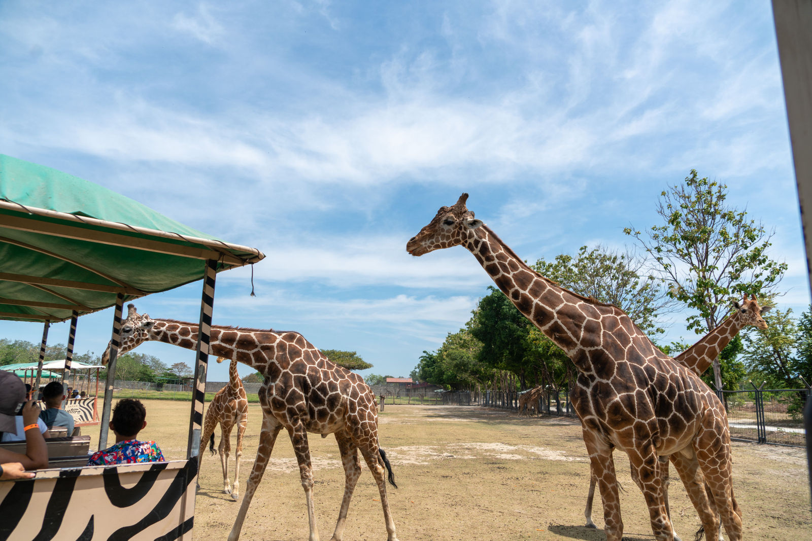 Ponderosa Zoo Liberia by Alex & Steff