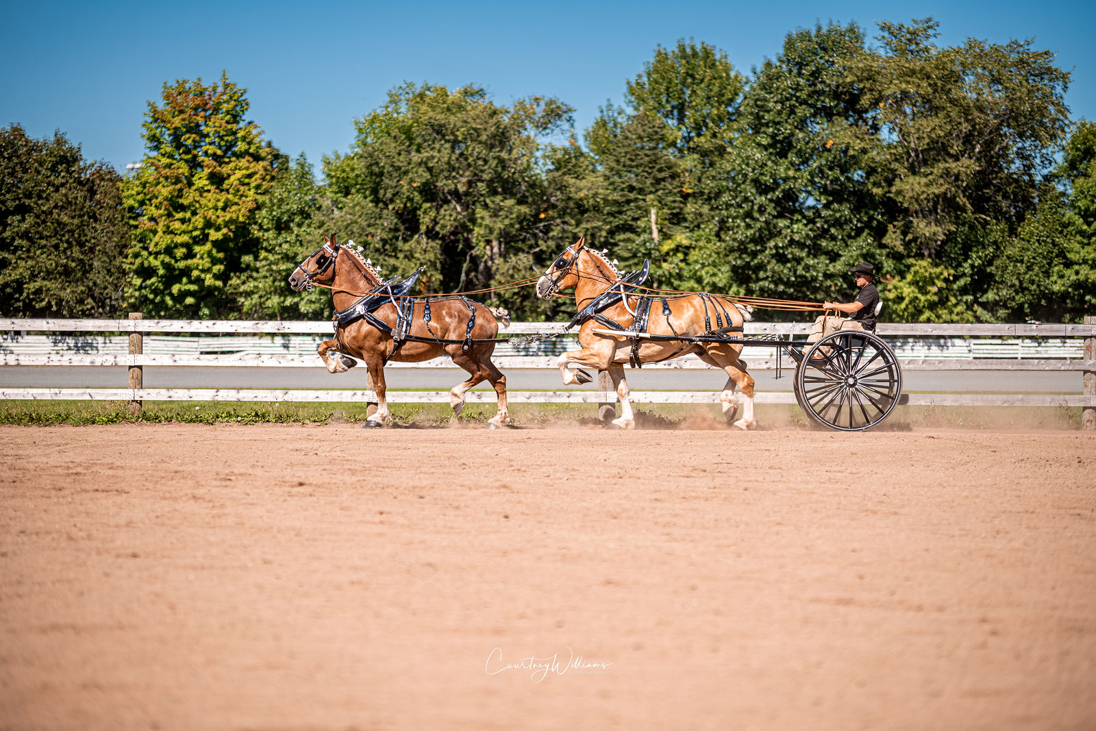 NBEX by Courtney Williams Photography