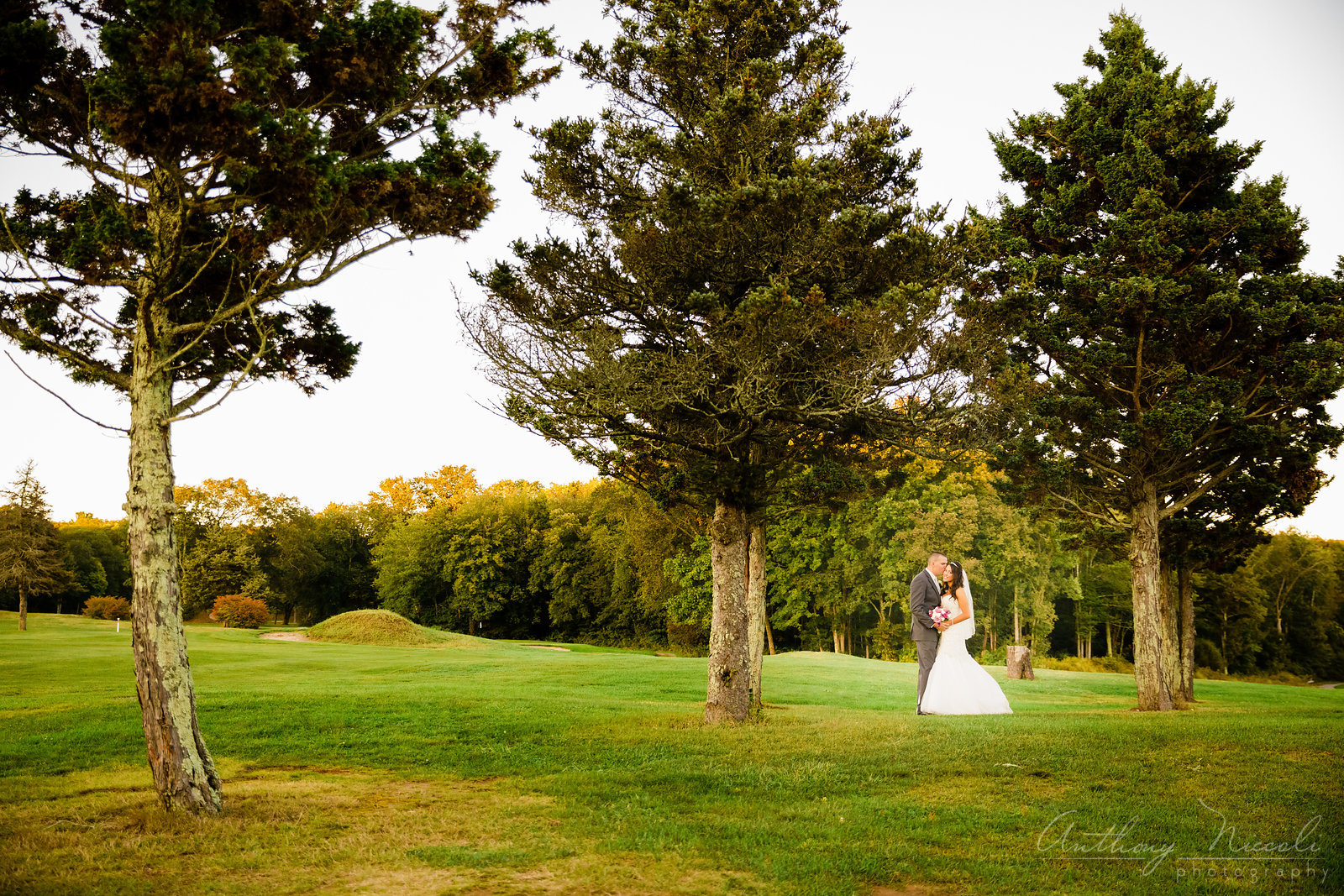 Danielle + Matt Tracy by Anthony Niccoli Photography