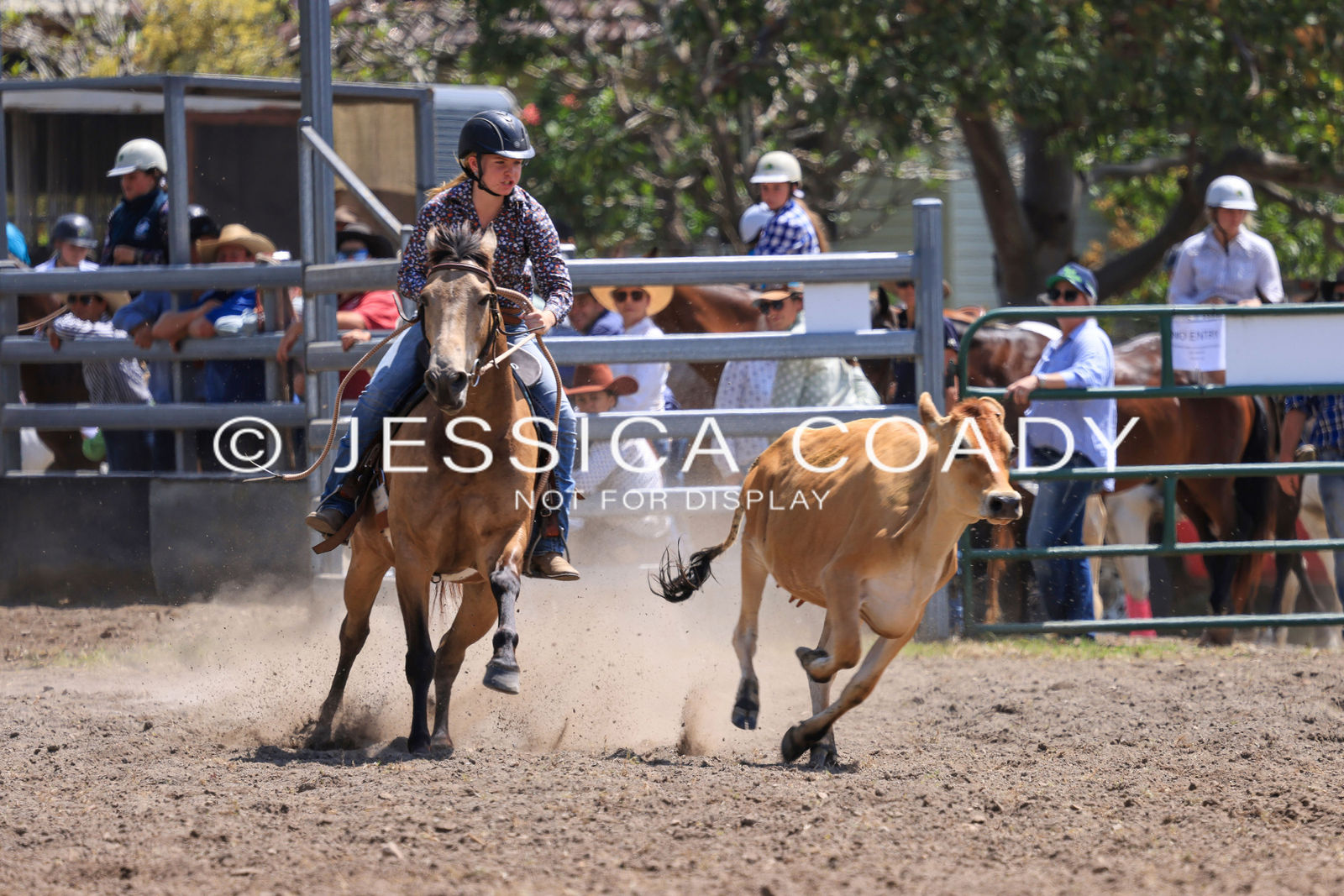 Wingham Junior Draft by Jessica Coady Photography