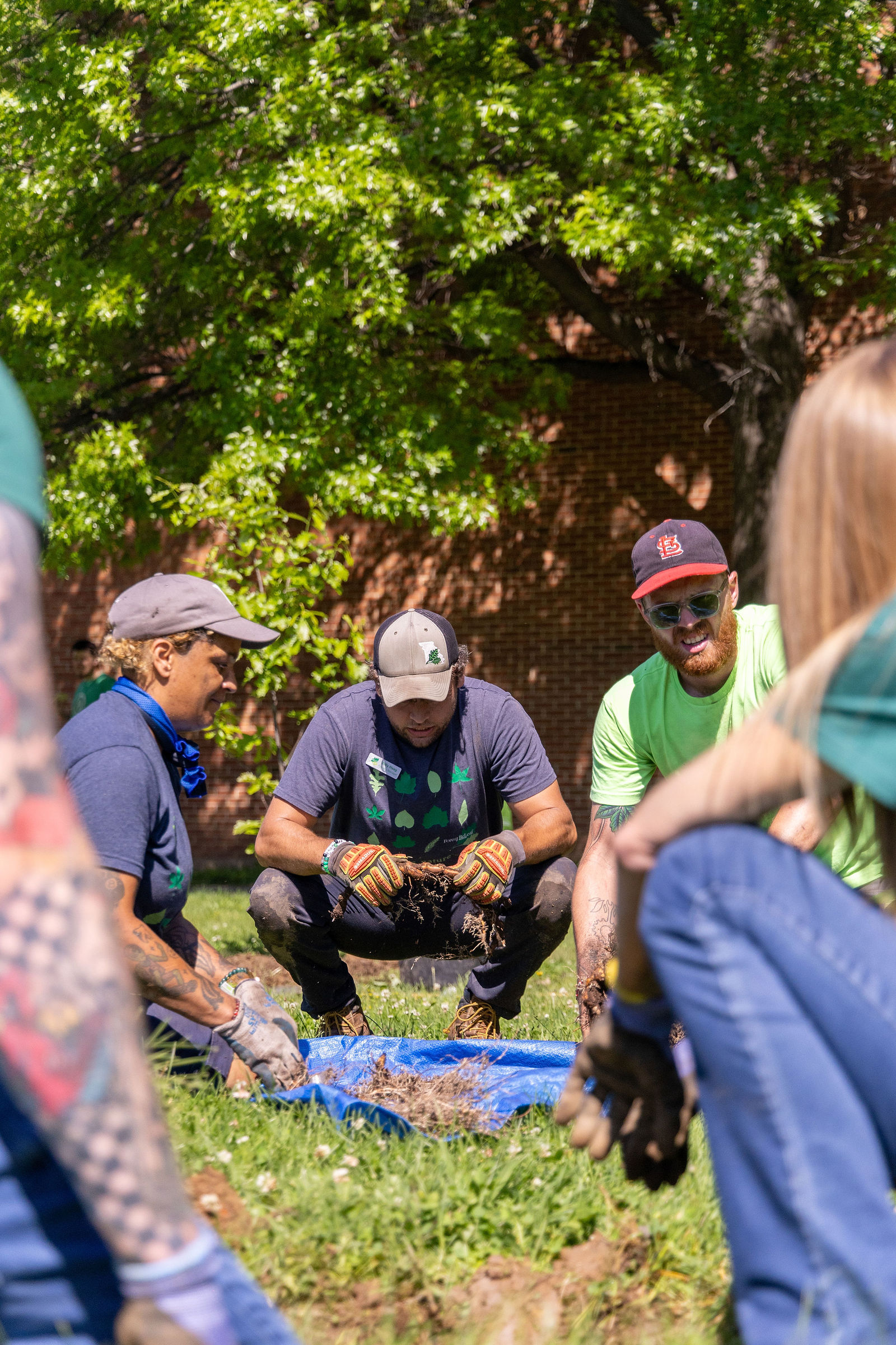Forest ReLeaf - Tree Planting by DLiNX LLC.