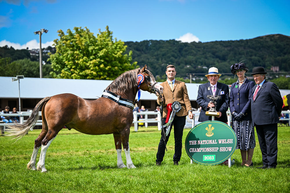 National Welsh Championship Show 2023 by EquinePix Photography