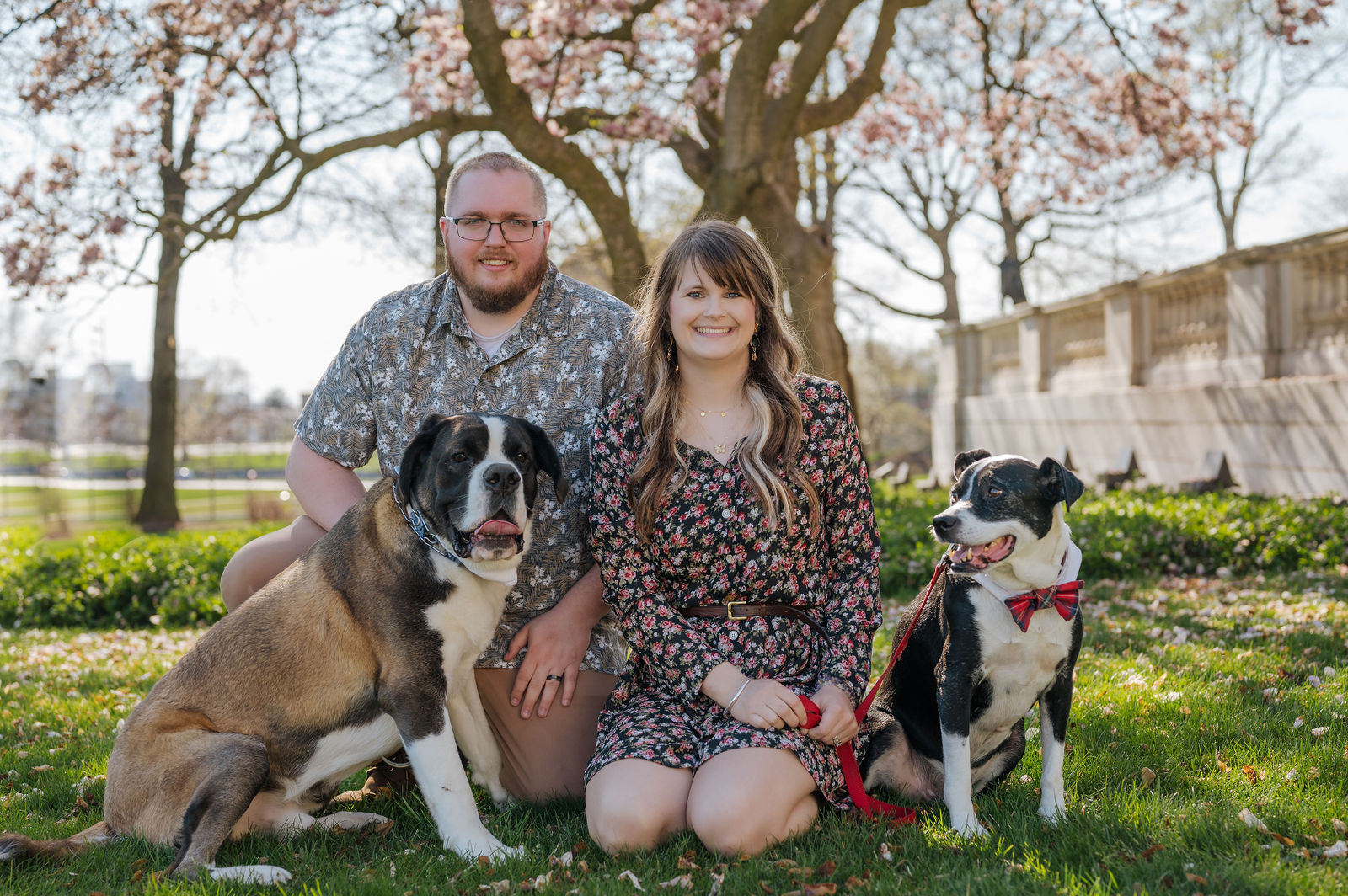 The Shea's, Cleveland Museum of Art Cherry Blossoms by Shiny Penny Studios