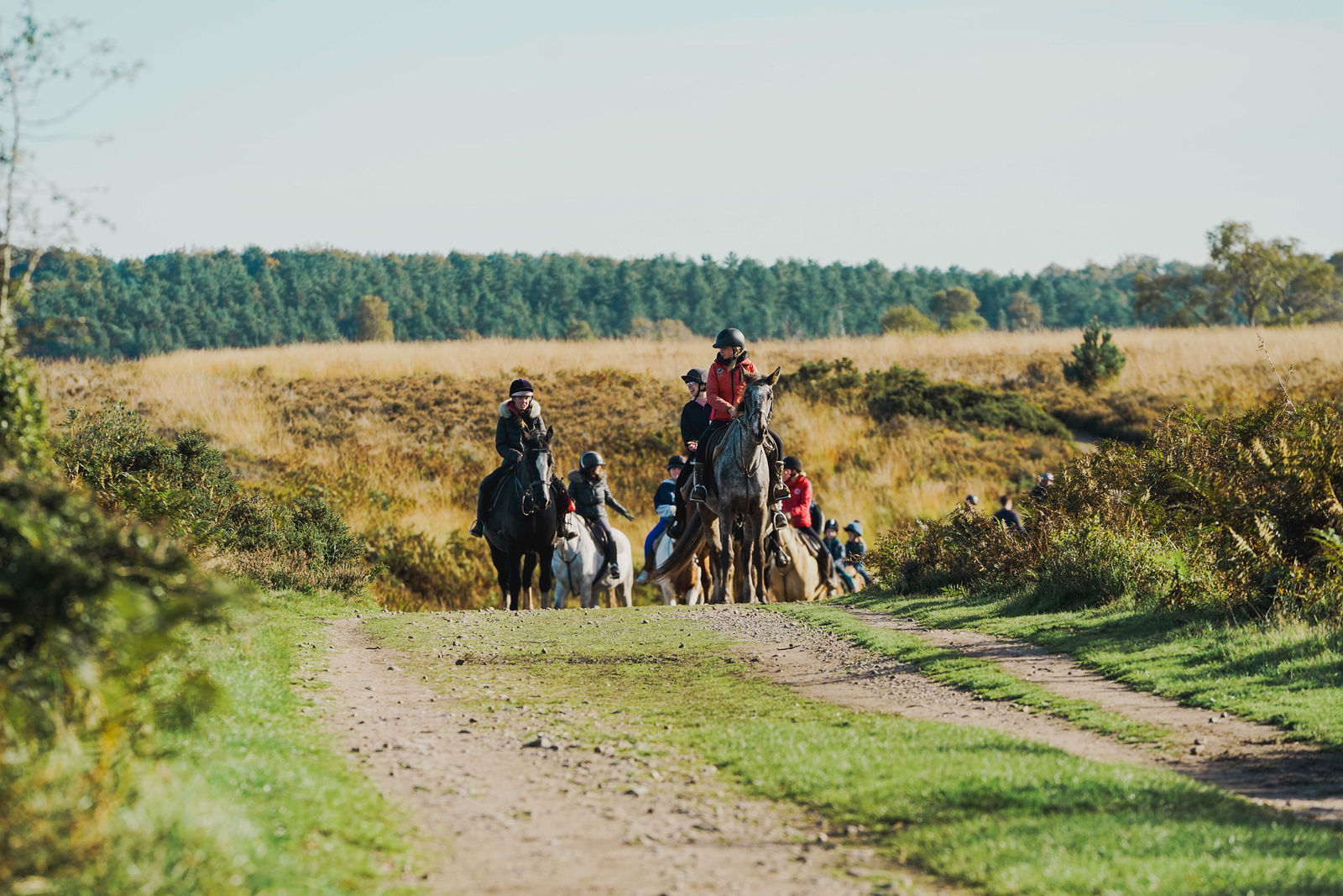 Cannock Chase Trekking Afternoon Ride (IMAGES ONLY) by F Mitchell ...