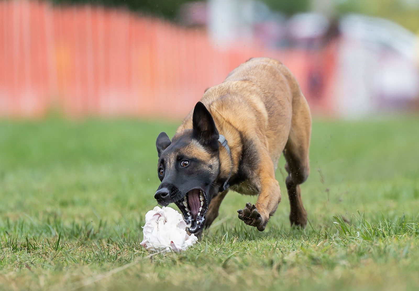 Events - Wander into Focus